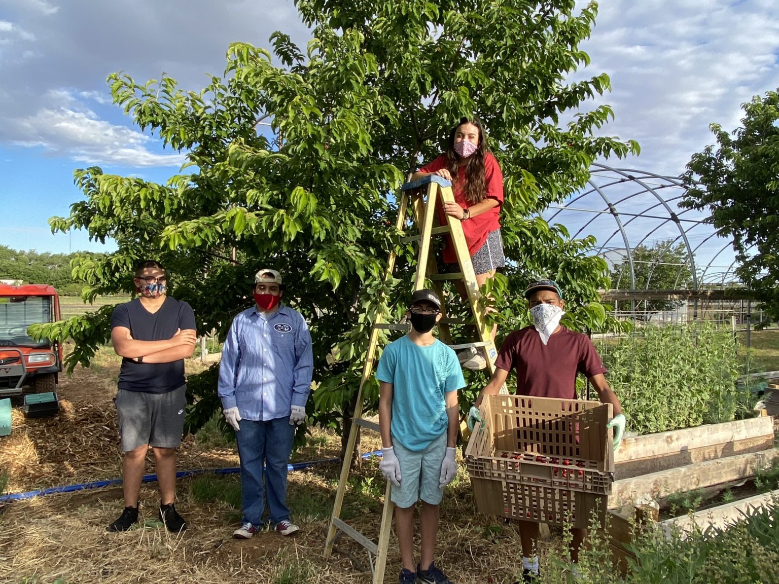 Food Bank Programs - South Plains Food Bank